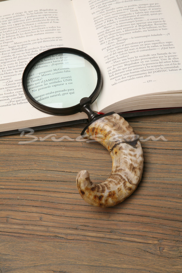 MAGNIFYING GLASSES: BUFFALO HORN MAGNIFYING